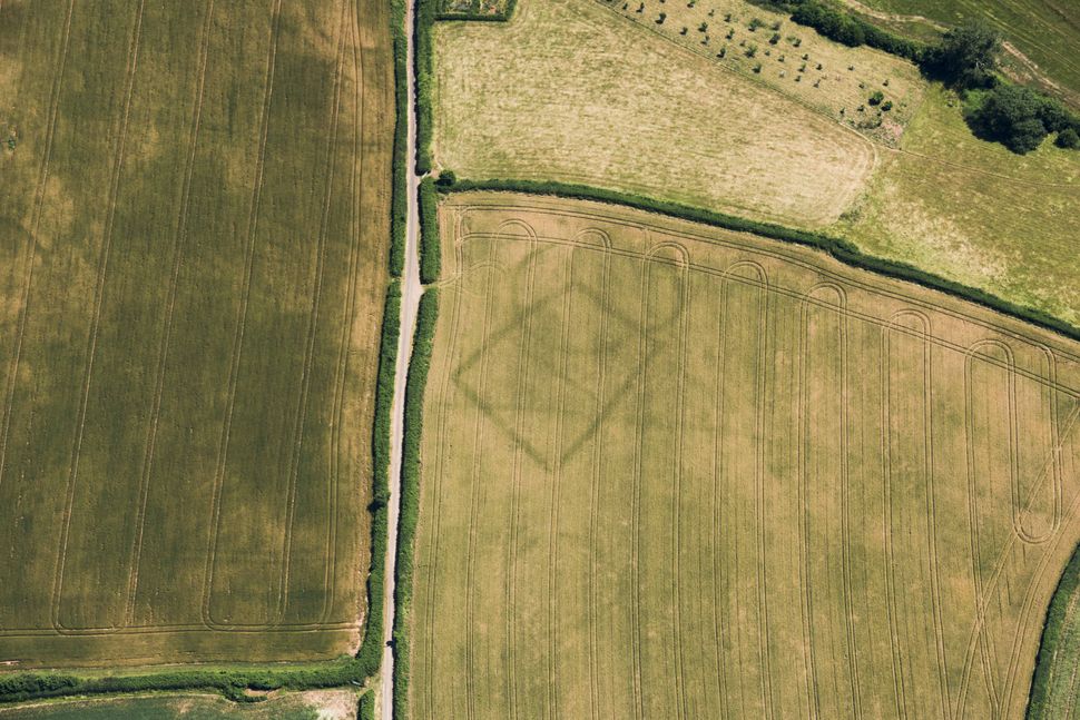 Photos: Cropmarks Reveal Traces of Lost Civilizations in England | Live ...