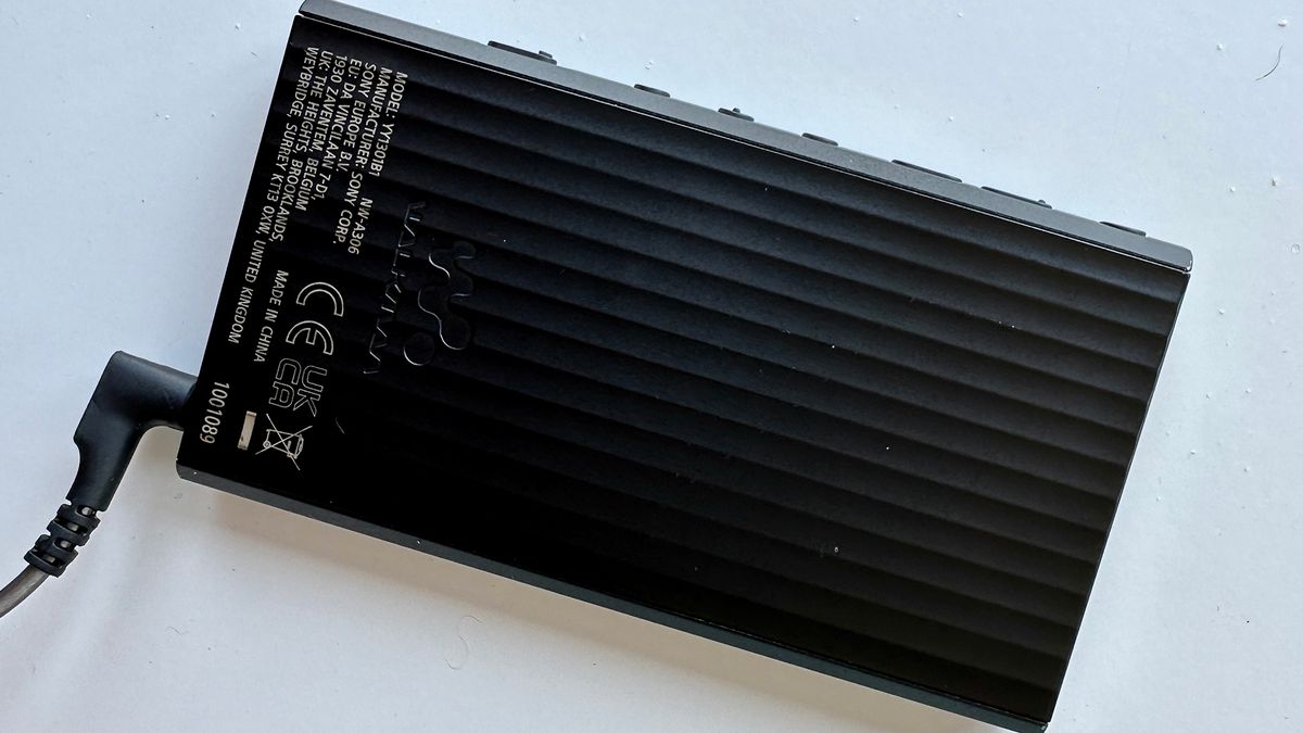 Sony NW-A306 review: a small but mighty digital audio player with a ...