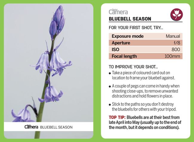 72 tips cards for photographers! Print, cut out and keep or save them ...