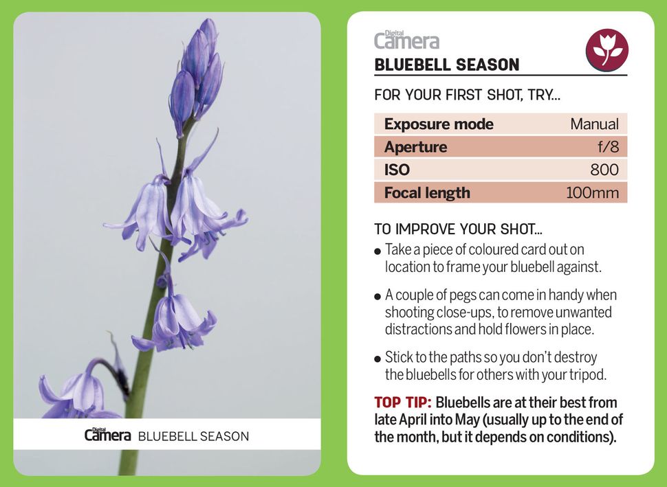 72 tips cards for photographers! Print, cut out and keep or save them ...