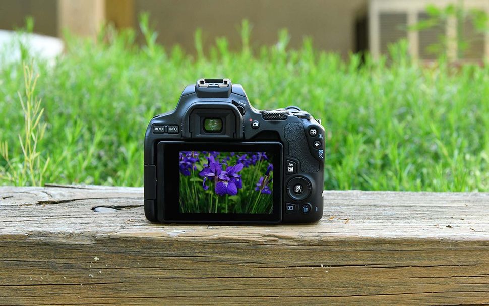 Canon EOS Rebel SL3 Review: A DSLR for Beginners, with 4K Video | Tom's ...