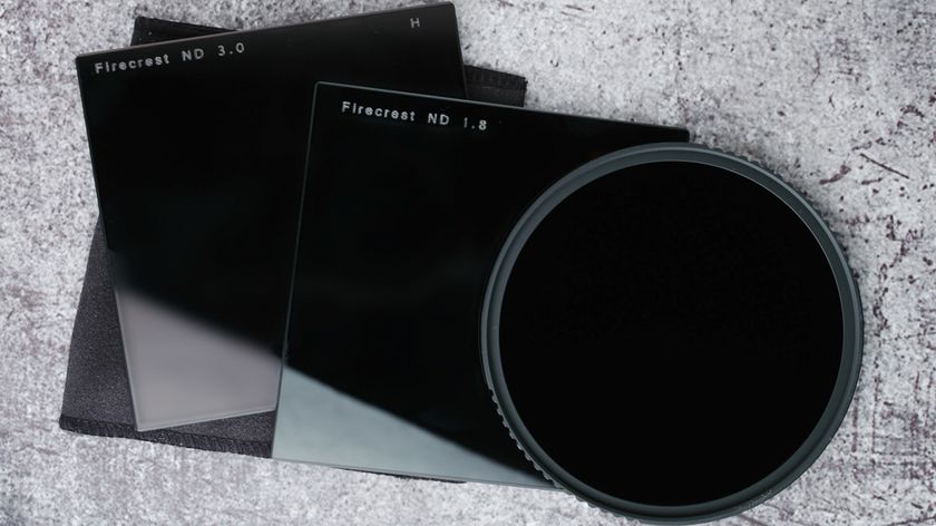 Craft your own cyanotypes at home with this quick and easy setup ...