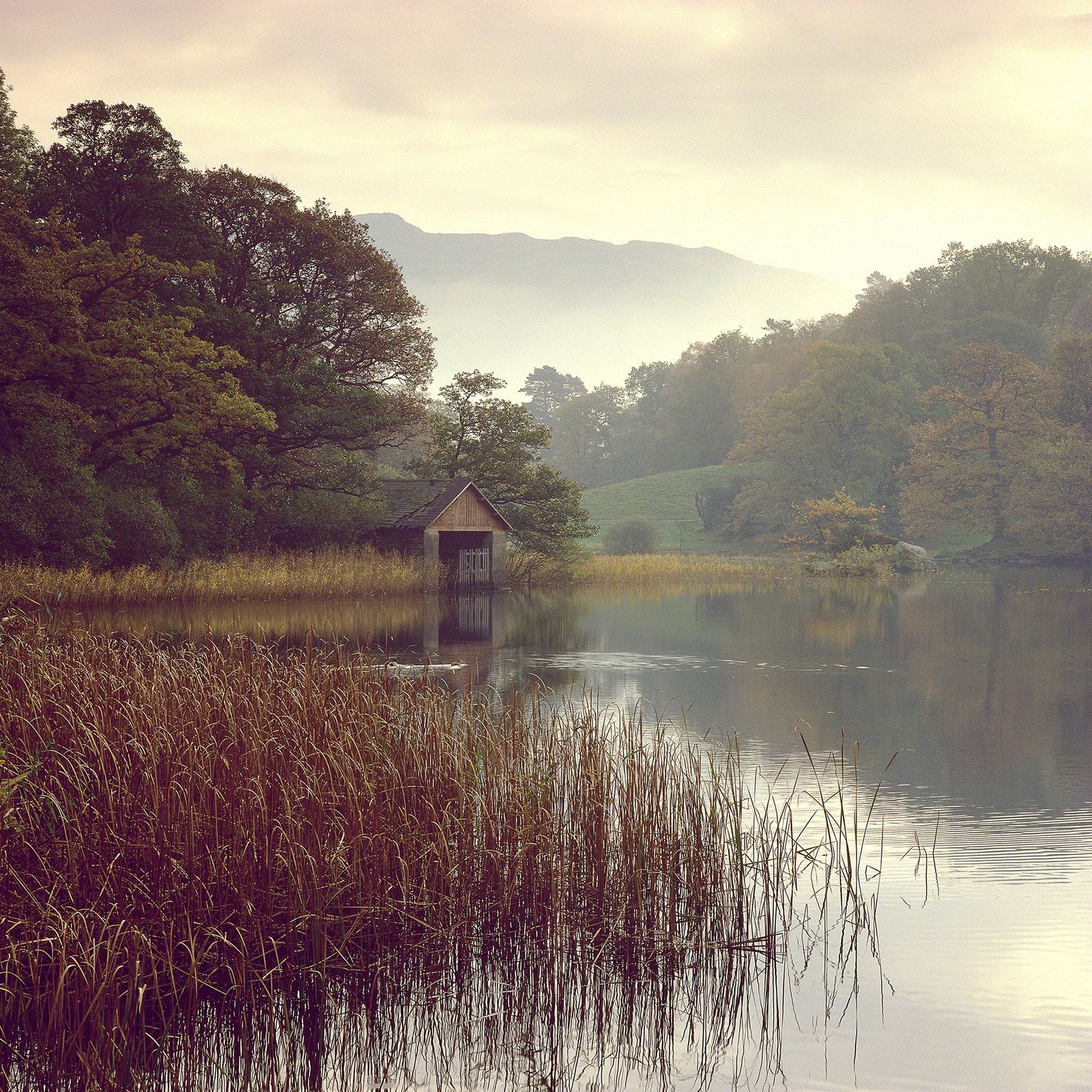 'If you get 12 great photographs a year, you're doing well': Charlie ...