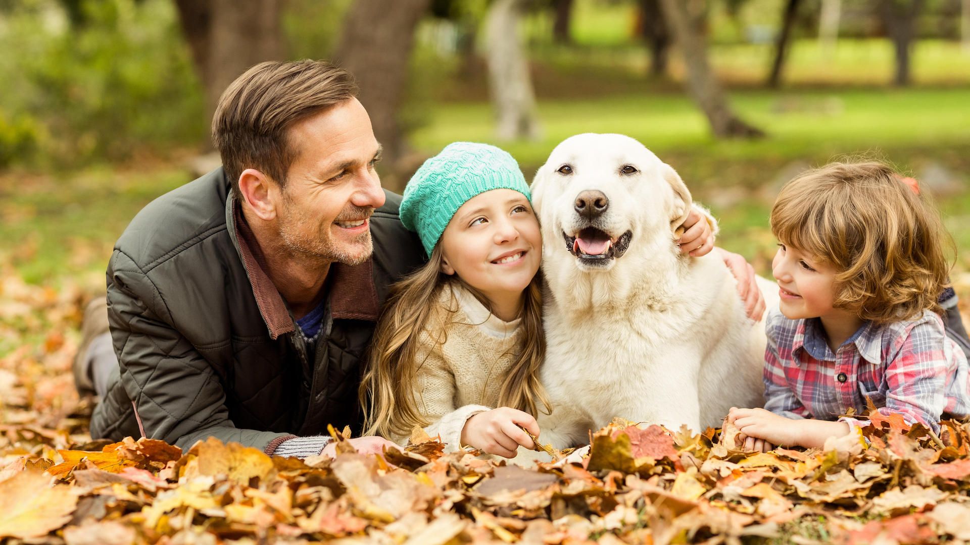 Best family dog breeds for families of all shapes and sizes | PetsRadar