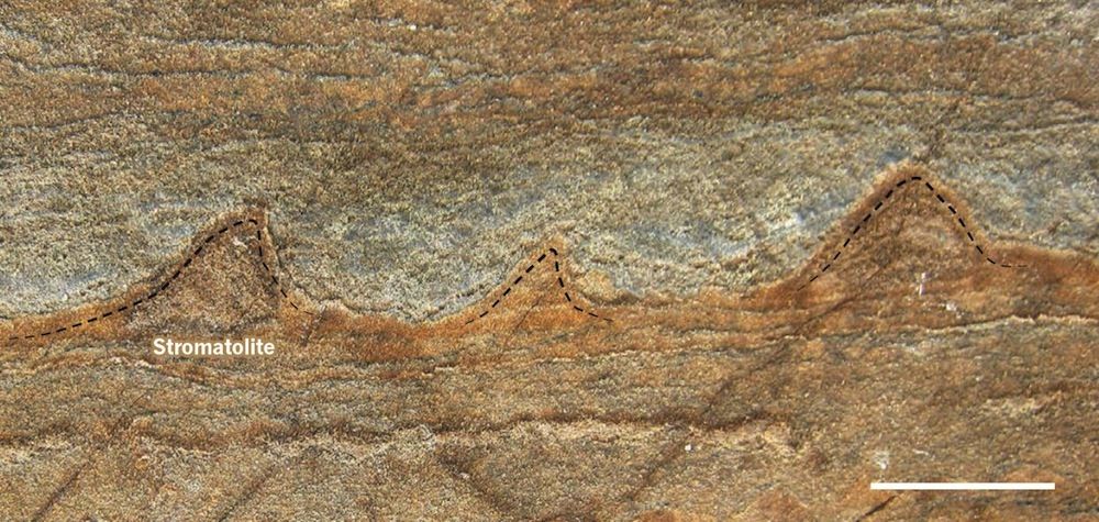 3 7 Billion Year Old Rock May Hold Earths Oldest Fossils Live Science