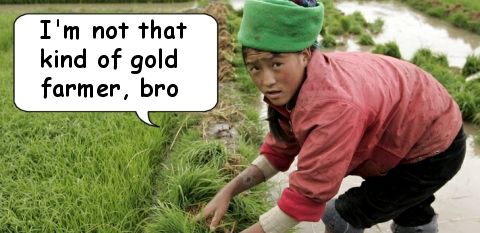 Diablo 3 Gold Farmers Infiltrate Countless Accounts, Saving Up For RMAH ...