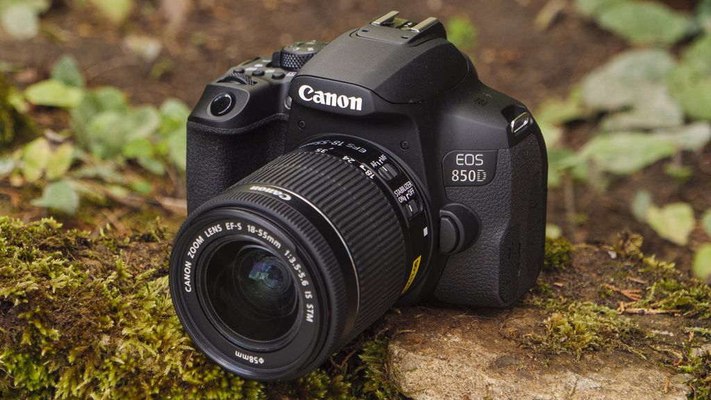 Best beginner DSLRs for 2024: top cameras for new photographers | TechRadar