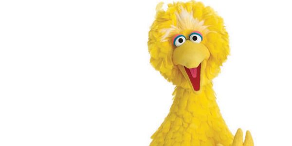 The Beautiful Story Of How Big Bird Comforted A Little Kid In His Final ...