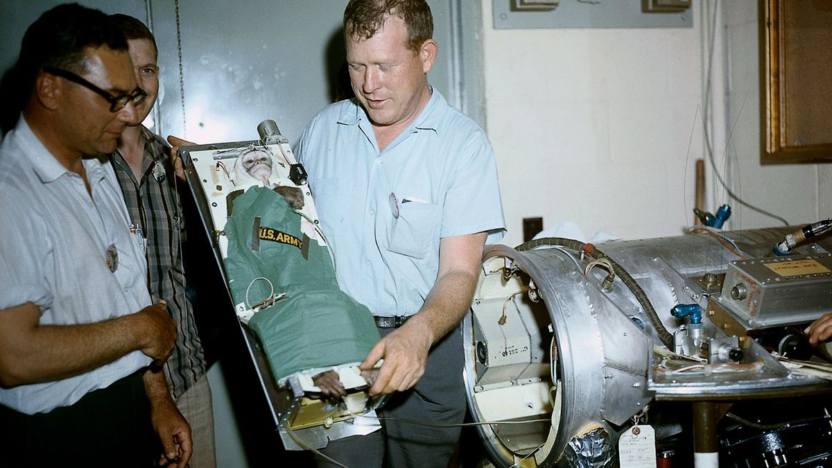 Able and Baker: The First Primates to Survive Spaceflight in Photos | Space