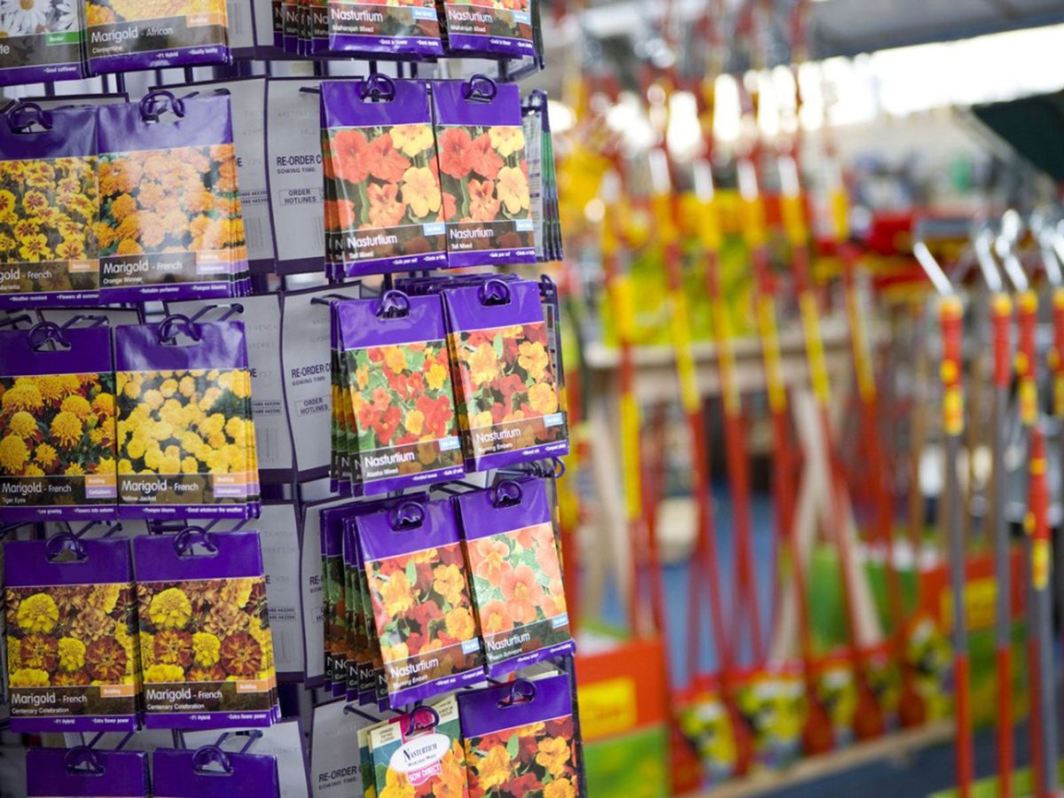 Decoding Seed Abbreviations: Understanding Terms On Seed Packages ...