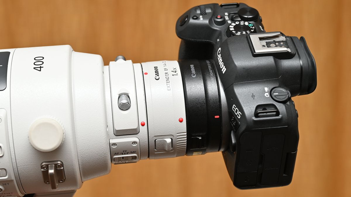 Canon Extender EF 1.4x III review: extend your telephoto reach, not ...