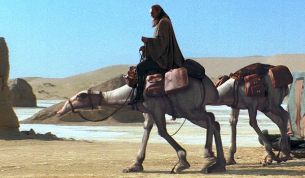 Star Wars Creatures And Characters, Ranked By Cuteness | Cinemablend