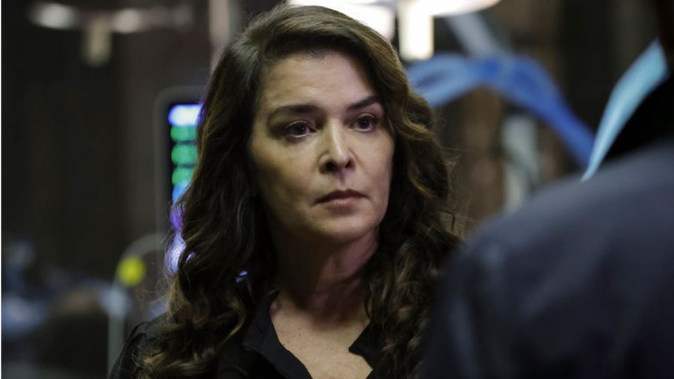 Tulsa King Cast: Where You’ve Seen The Actors From The Sylvester ...