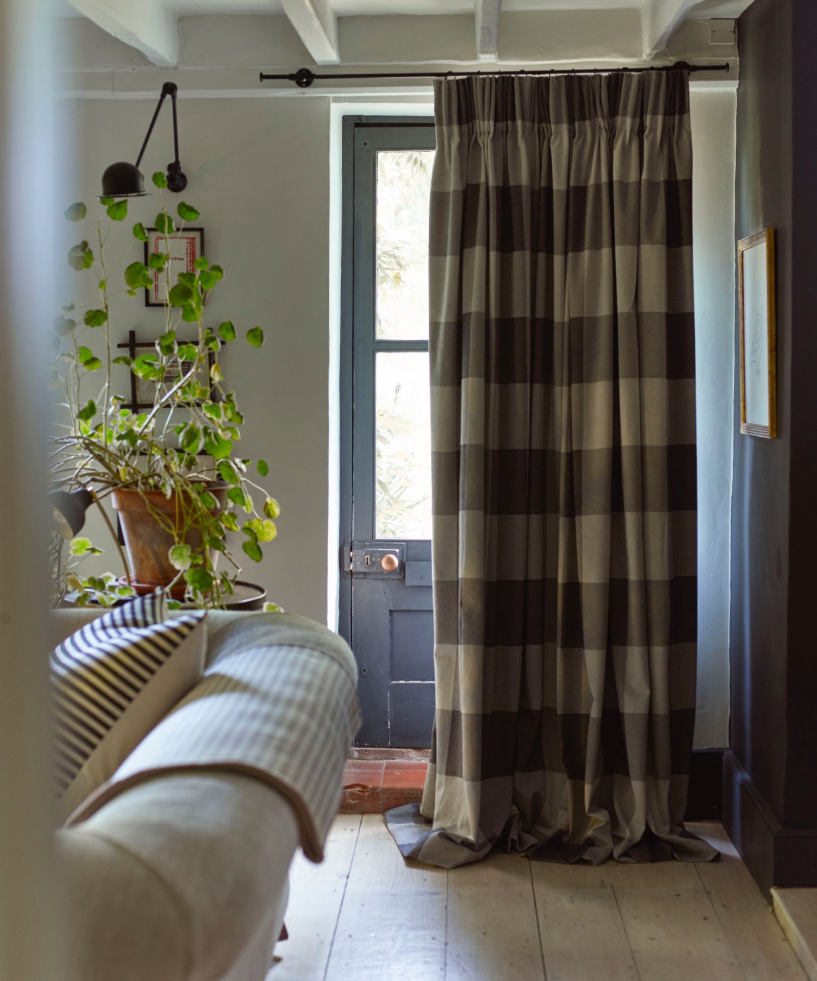 How to get rid of cluster flies: simple expert methods | Homes and Gardens