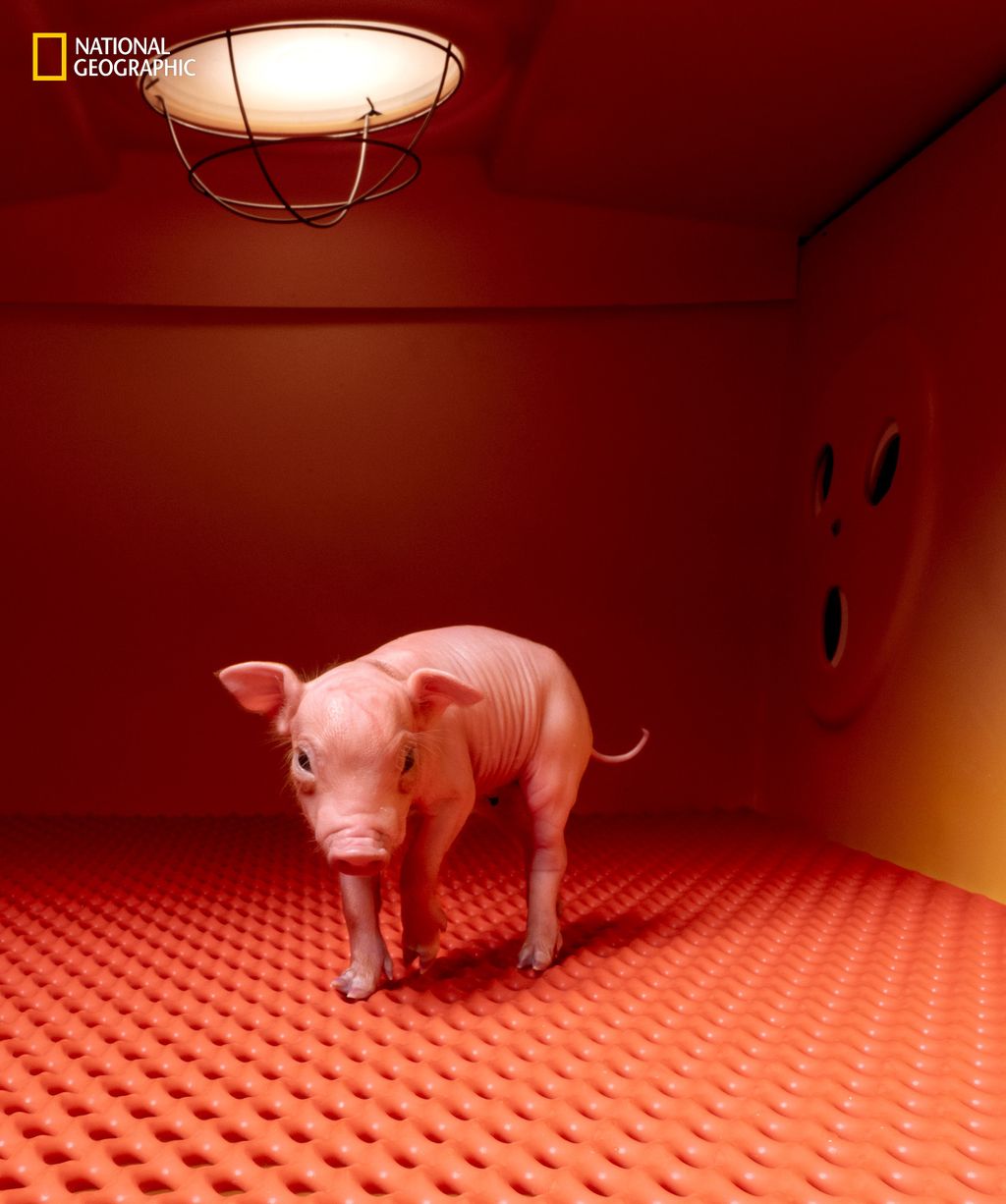 Nat Geo's Pictures of the Year 2025: The most moving images on Earth ...