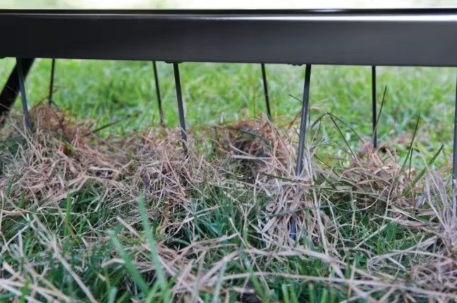 7 riding lawn mower attachments that are worth the investment | Top Ten ...