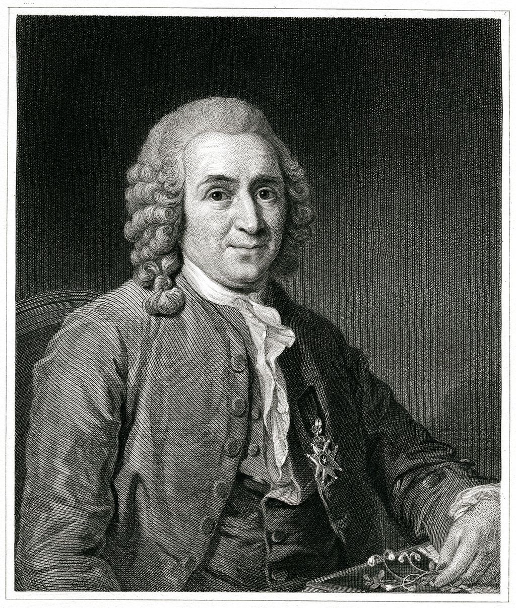 Curious Questions: What is Linnaeus’s Flower Clock? | Country Life