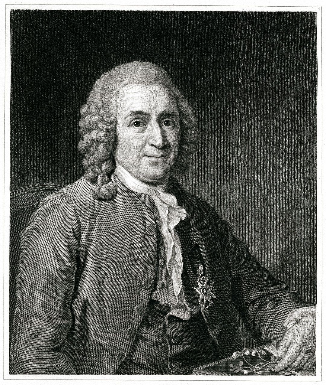 Curious Questions: What is Linnaeus’s Flower Clock? | Country Life