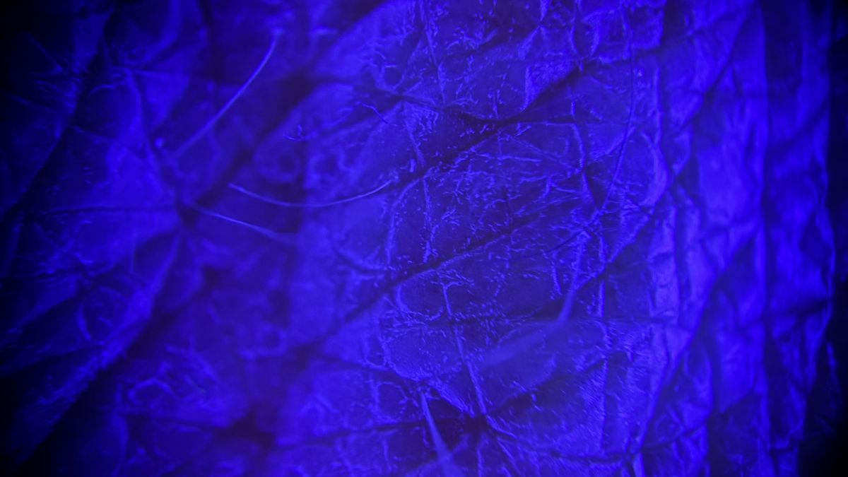 Apexel PhoneMicro5 Smartphone Microscope Kit review | Digital Camera World