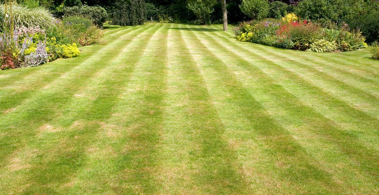 15 lawn care mistakes to avoid if you want impeccable grass | Woman & Home