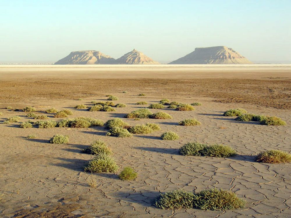 In Photos: Massive Stone Complex Discovered in Kazakhstan | Live Science