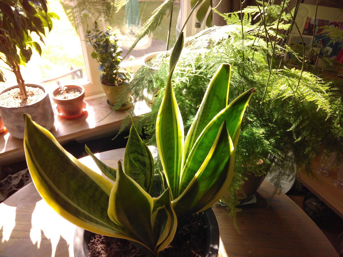 Hands on: Webfleet Solutions PRO 8475 TRUCK Android tablet review ...