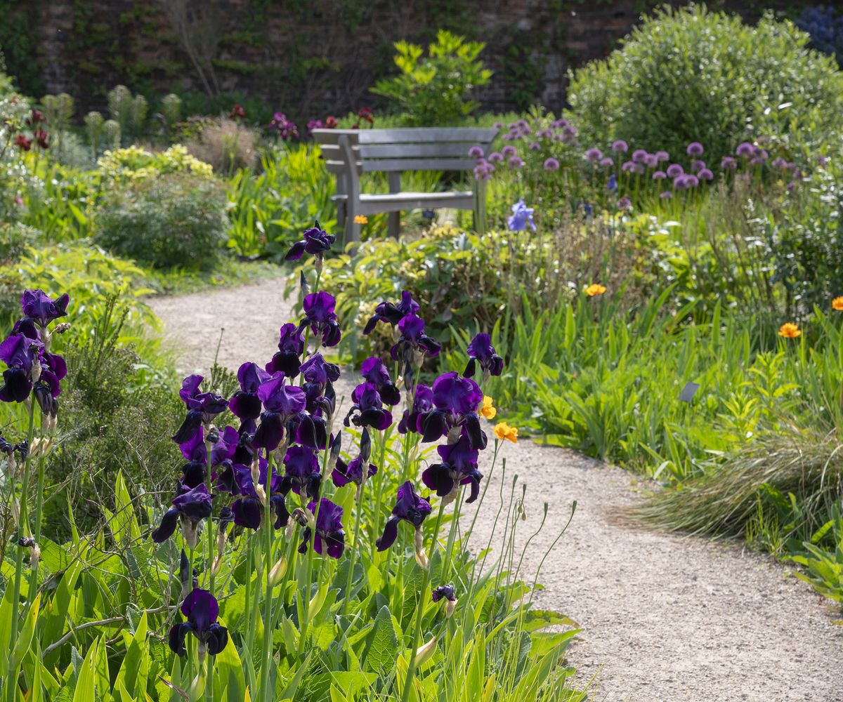 12 garden path ideas for every style and budget | Homebuilding