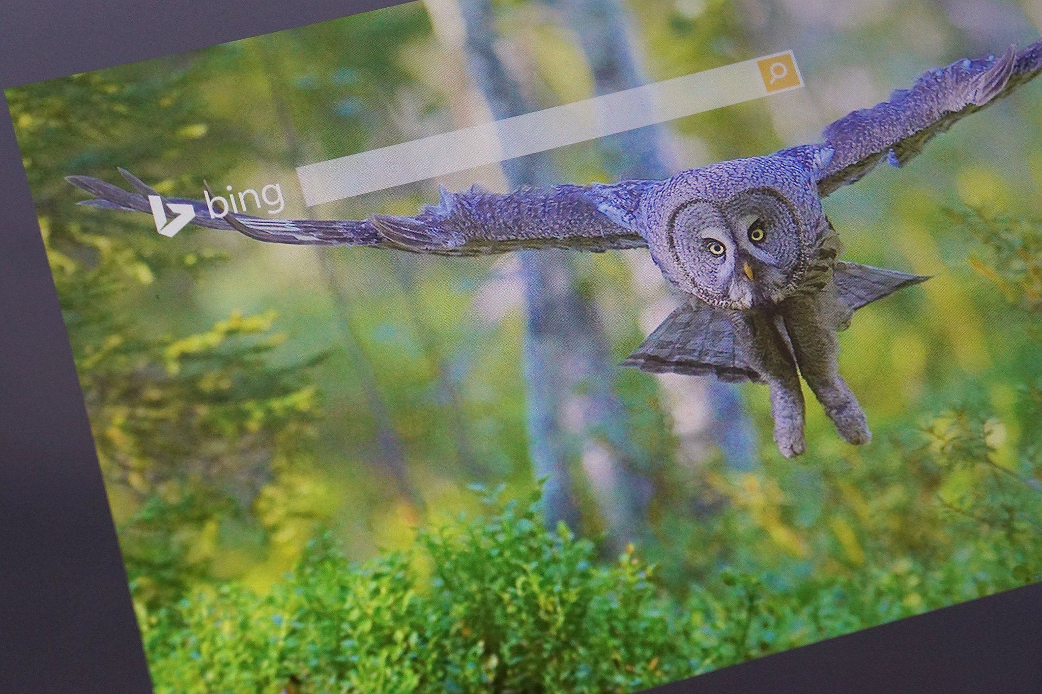 It's not just you: Bing web search results are currently not working ...