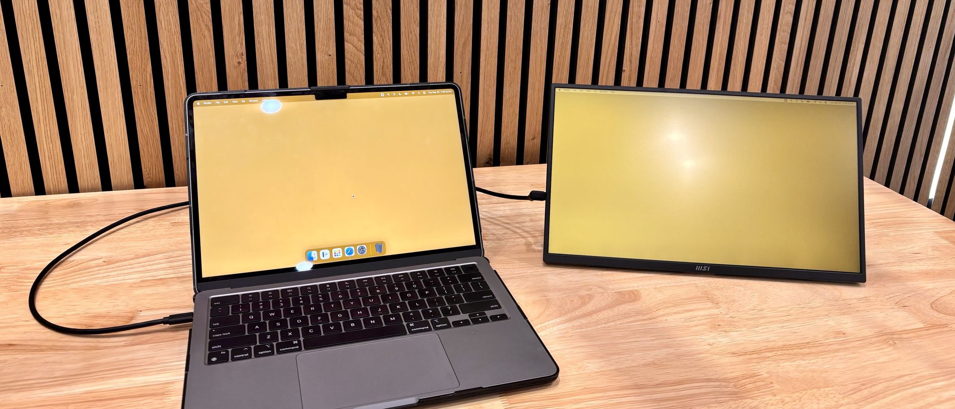 MSI Pro MP165 E6 portable monitor review | TechRadar