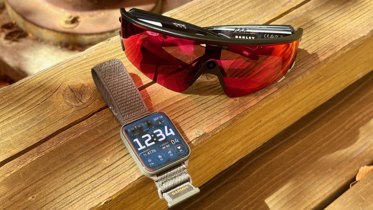 Wearables report card 2025: How smartwatches, rings, and glasses fared ...