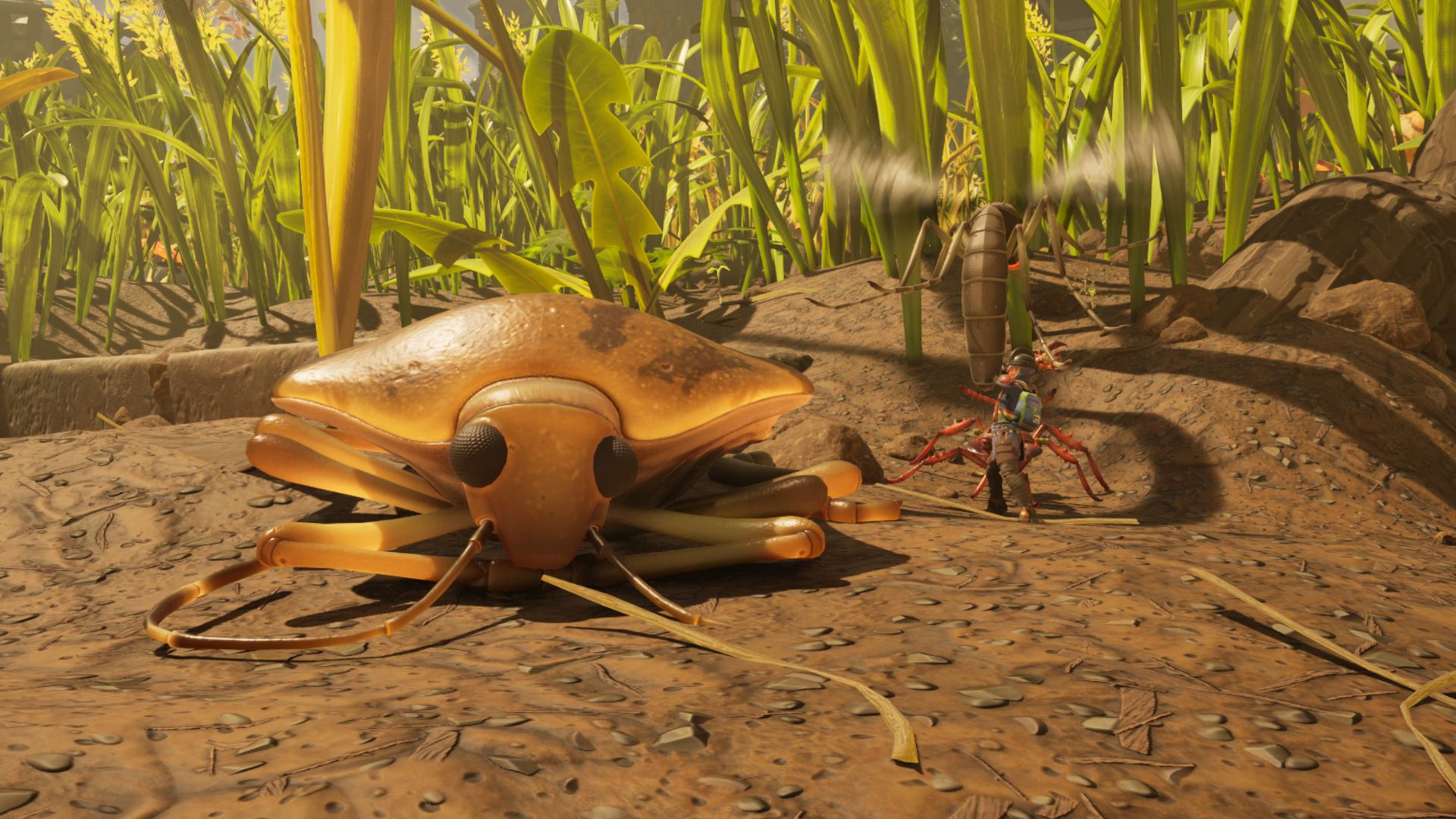 Where to find stinkbugs in Grounded 2 | PC Gamer