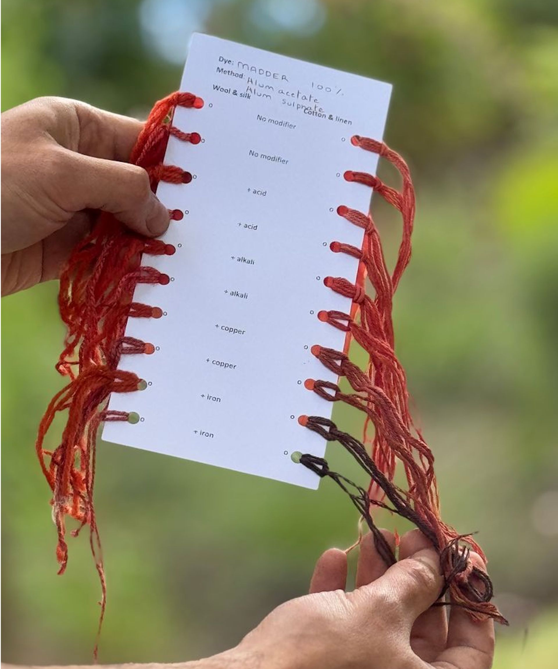 3 plants for natural dye and how to use them | Homes and Gardens