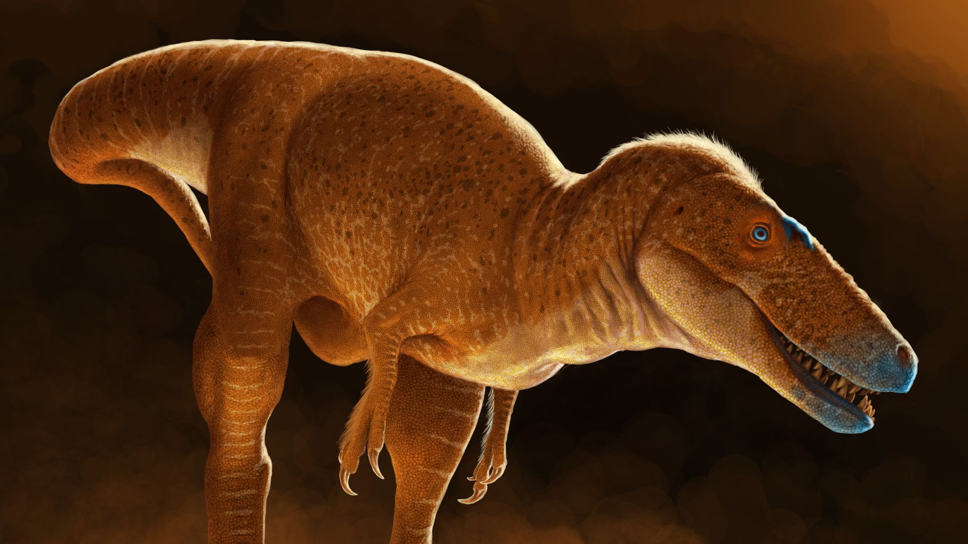 Meet 'Dragon prince' — the newly discovered T. rex relative that roamed ...
