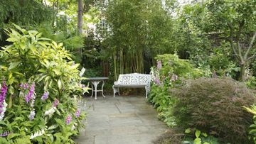 Walkable ground cover plants: 11 path and lawn options | Homes and Gardens