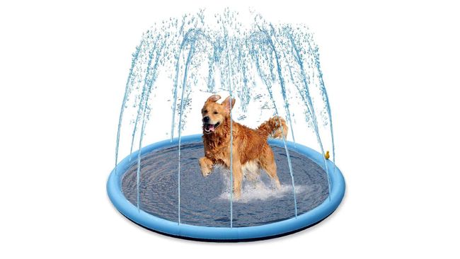 Best swimming pool for dogs 2021: Puncture-proof, portable and perfect ...