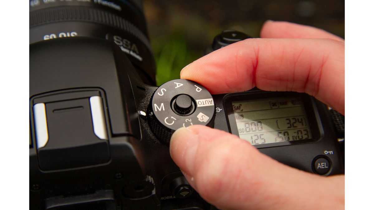 Create amazing macro panoramas with your camera | Digital Camera World