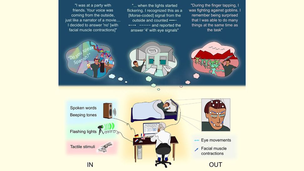 Lucid dreamers can hear and answer questions while still asleep ...