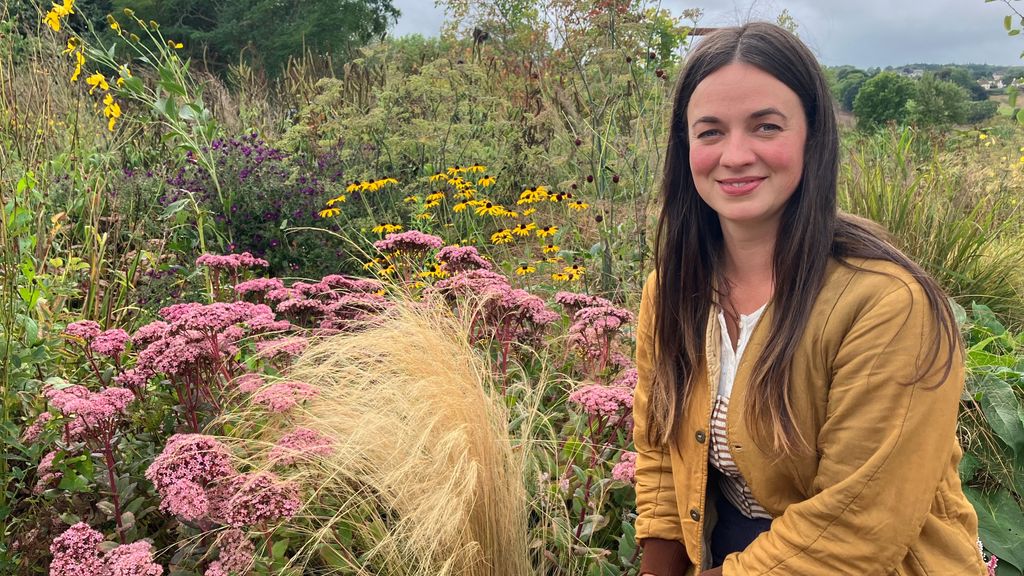 Gardeners' World 2025: next episode, presenters and more | What to Watch
