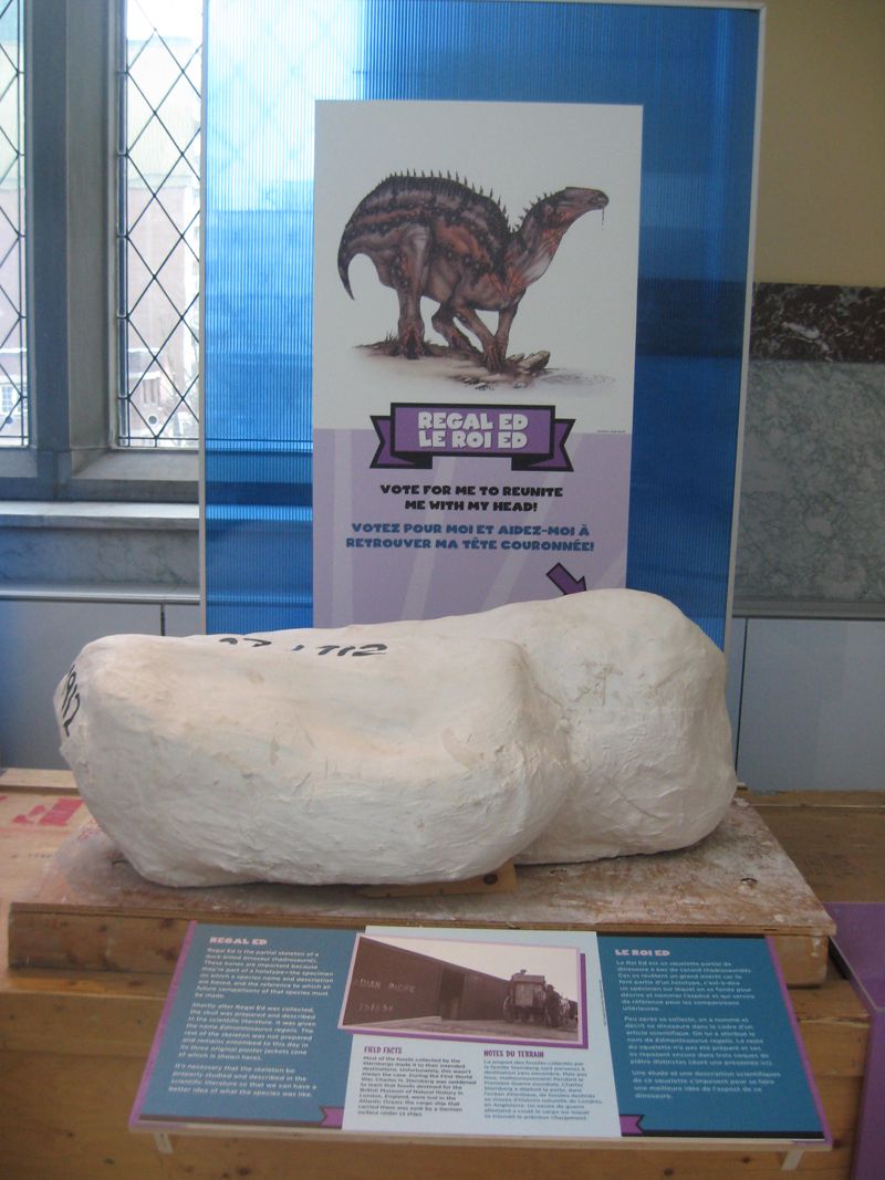 Image Gallery: Dinosaur Skeletons Hidden in Rock | Live Science