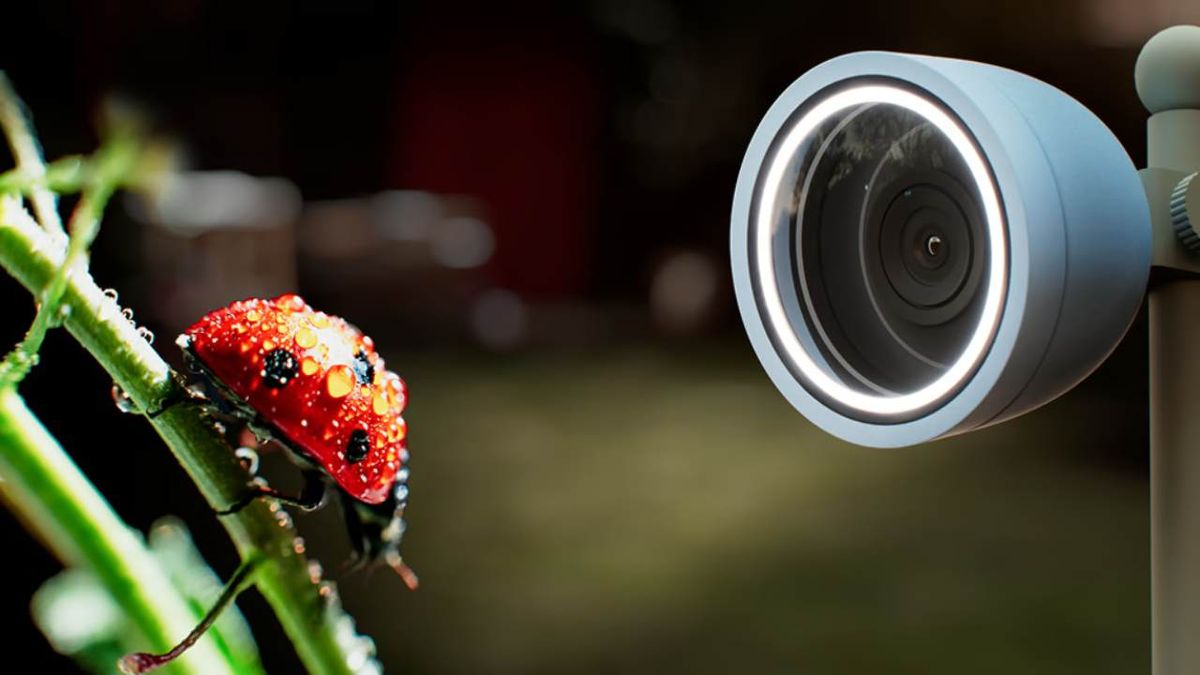 This smart camera quietly watches and cares for birds, insects and ...