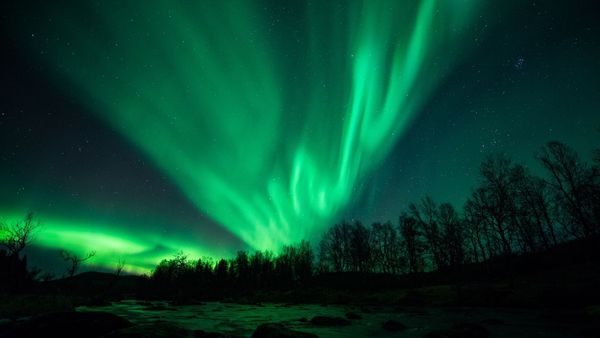 Articles by Alia Shoaib | The Week