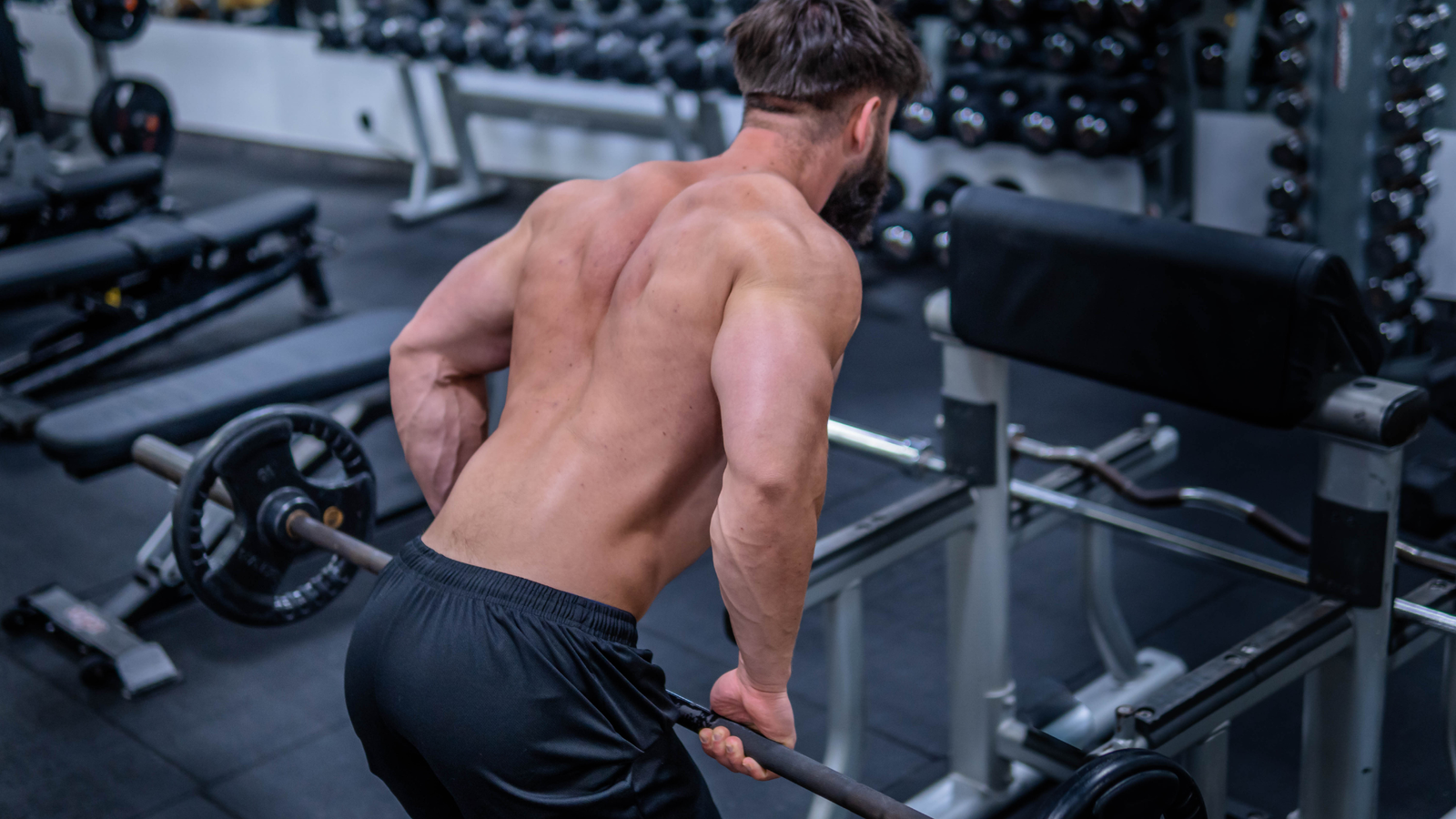 5 reasons why you must do seal rows to supersize your back | T3