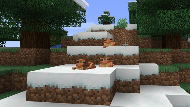 How to find Minecraft frogs and breed them from tadpoles | GamesRadar+