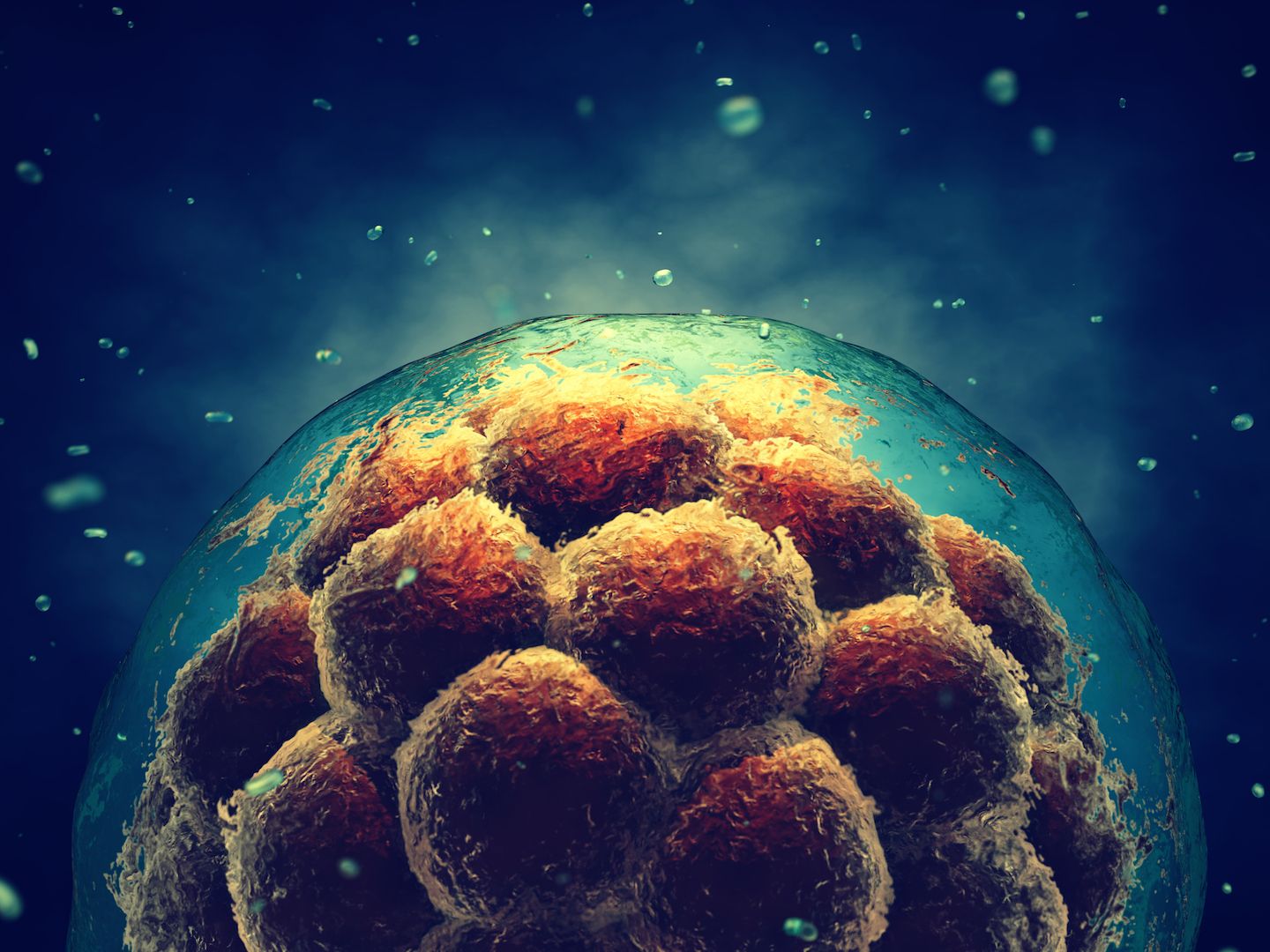 How long can human embryos stay frozen? | Live Science