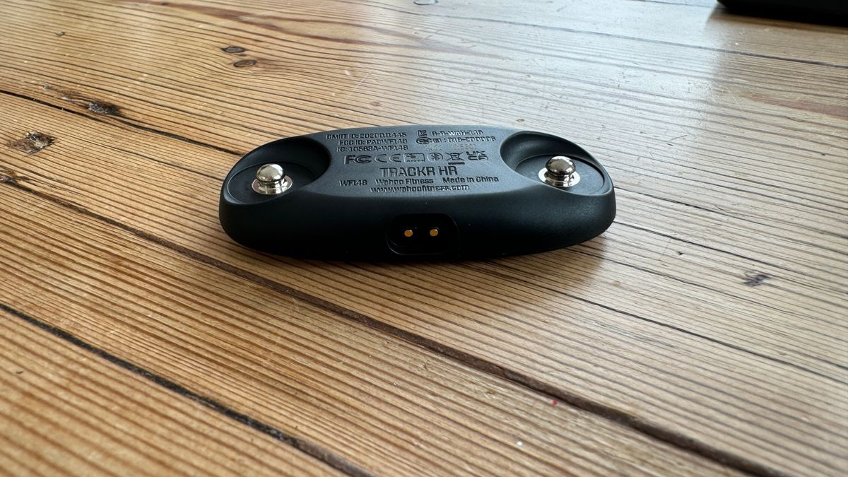 Wahoo Trackr Heart Rate review: Professional HR tracking accuracy with ...