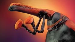 How to photograph insects like a pro: Expert tips for impactful macro ...