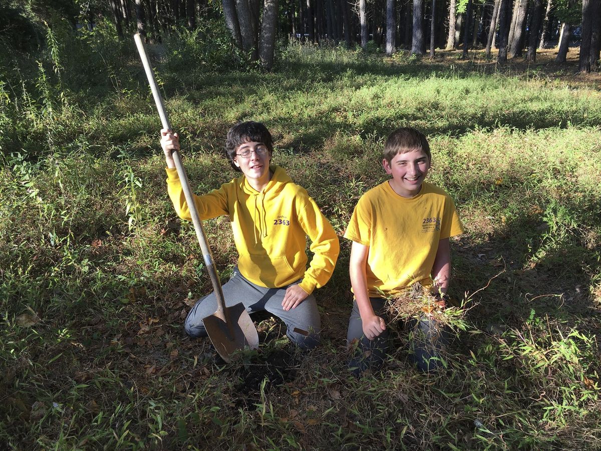 Teenagers create 13-mile 'Bee Byway' in their town to save native bees ...