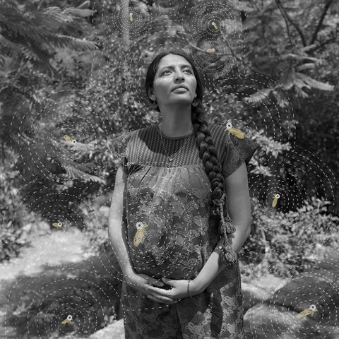 Using her own image-making language, Mexican photographer beats 430,000 ...