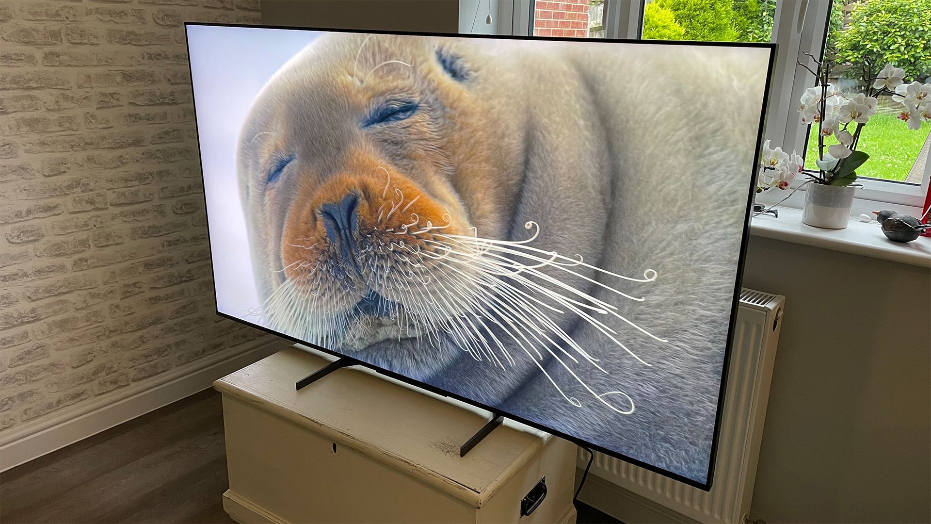 Sony XR-65X95L review: Sony takes its latest Mini LED TV to another ...