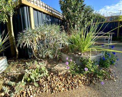 Low maintenance landscaping: 14 ways to create a plot that needs ...